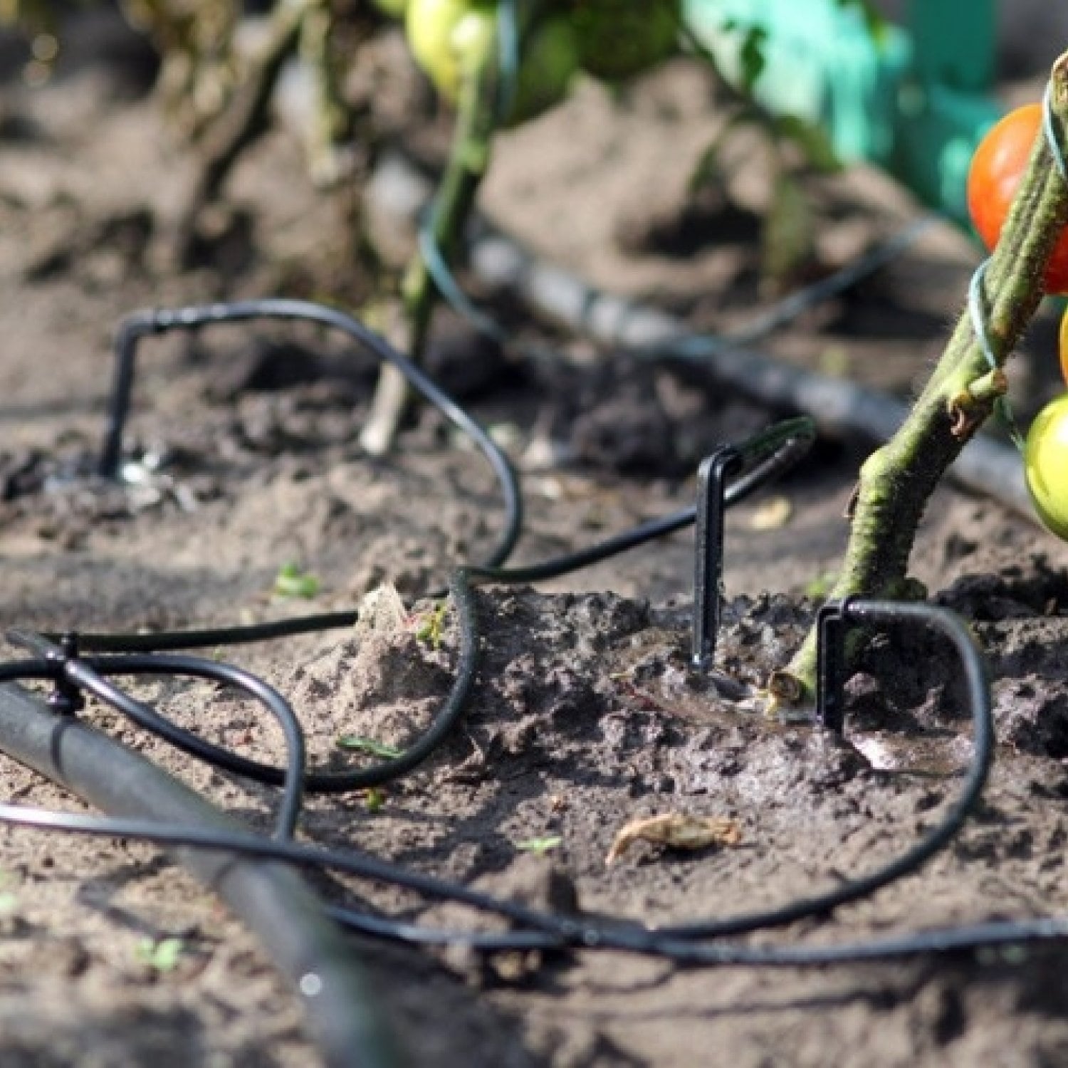 AlHandasih | Future of Drip Systems: Innovations and Best Practices in ...